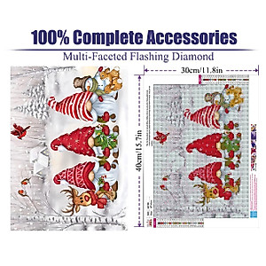 lmedbr Christmas Gnomes Diamond Painting Kits, Winter Gnomes Diamond Art Kits for Adults,DIY 5D Round Full Drill Gnome Gem Art Kit,Rhinestones Crystal Arts & Crafts Home Wall Decor Gift 16x12 Inch