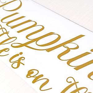 Gostman A Little Pumpkin is On The Way Balloon Arch Decal - Halloween Baby Shower Decorations,Thanksgiving Day Party Decor,Pumpkin Themed Party Supplies (Pumpkin Decal)