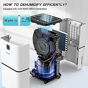 2000 Sq. Ft Dehumidifier for Large Room and Basements, HUMILABS 30 Pints Dehumidifiers with Auto or Manual Drainage, 0.528 Gallon Water Tank with Drain Hose, Intelligent Humidity Control, Auto Defrost, Dry Clothes, 24HR Timer
