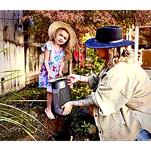 Eden's Circles Ladybug In-Ground Worm Composter (Galvanized Metal, Black/Red)