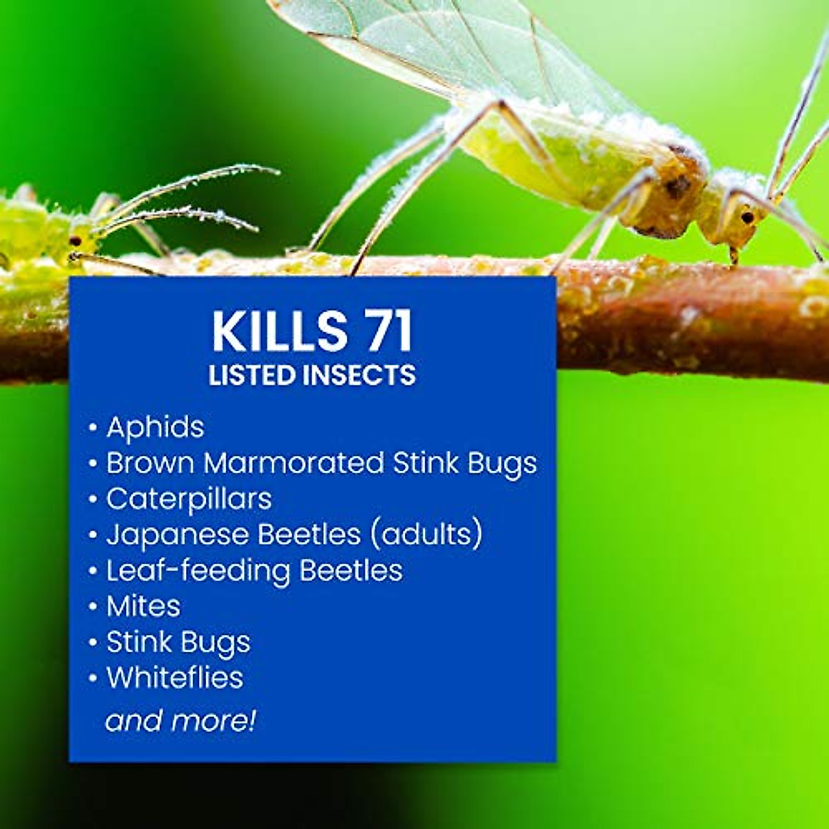 BioAdvanced Season Long Grub Control Plus Turf Revitalizer, Granules, 12 lb