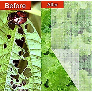 Agfabric Garden Netting Insect Pest Barrier Bird Netting for Garden Protection,Row Cover Mesh Netting for Vegetables Fruit Trees and Plants,6.5'x10',White