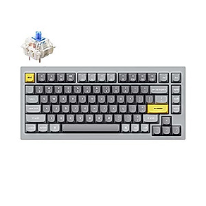 Keychron Q1 75% Layout RGB Hot-swappable Wired Custom Mechanical Keyboard, QMK/VIA Programmable Macro with Gateron G Pro Blue Switch Double Gasket Compatible with Mac Windows Linux (Grey) -Version 2