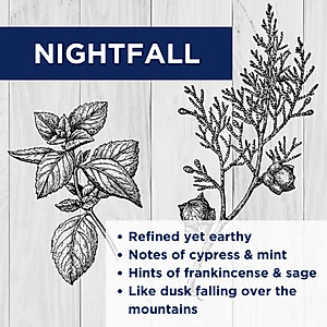 American Ostrich Farms Beard Oil & Conditioning Style Aid, Nightfall