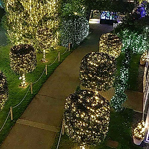 ER CHEN Dimmable LED String Lights Plug in, 66ft 200 LED Waterproof Fairy Lights with Remote, Indoor/Outdoor Copper Wire Christmas Lights for Bedroom, Patio, Garden, Yard (Green Wire, Warm White)