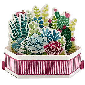 Hallmark Pop Up Birthday Card for Mom (Displayable Succulents and Flowers)