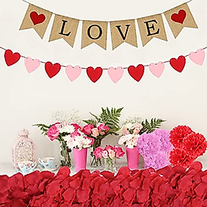 Jofan Valentines Day Decor Kit with 1 LOVE Banner, 1 Hearts Felt Garland, 6 Paper Fans, 6 Paper Flower Balls, 6 Hanging Swirls, 200 Rose Petals for Valentines Day Decorations Wedding Party Supplies