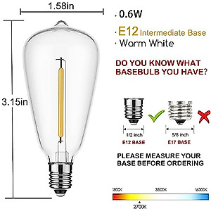 25 Pack Edison LED Light Bulbs, 0.6 watt E12 Screw Base Replacement Bulbs, LED Shatterproof Bulbs ST38 Clear Plastic Light Bulbs for Outdoor Patio ST38 String Lights, Warm White
