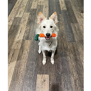 20 Pack Puppy Dog Toys, Puppy chew Toys, Teeth Cleaning, Squeak Toys, Treat Dispenser Ball, Teething Toys, Rope Toys, Mental Stimulation Toys for Medium to Small Dogs