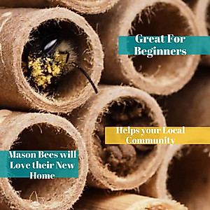 Mason Bee Tubes | 100 Pack of 6 inch Long by 5/16 Inner Diameter Hole Cardboard Bee House Tubes | Great Paper Refills or Inserts/Liners for a Bee House, Bee Condo, Hotel, or Nest