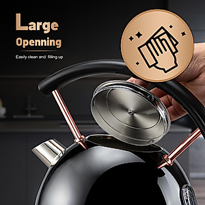 Pukomc Retro Electric Kettle 1.7L, Stainless Steel Portable Fast Boiling, Cordless with LED Light, Unique Appearance with Temperature Gauge, Auto Shut-Off&Boil-Dry Protection (Black)
