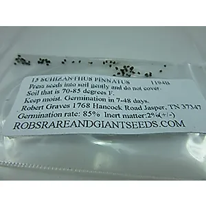 1194B-White Angels Poor Man's Orchid (Schizanthus pinnatus) Seeds by Robsrareandgiantseeds UPC0764425788430 Non-GMO,Organic,USA Grower,Bonsai,Showy, Butterfly Flower,1194-B Package of 15 Seeds