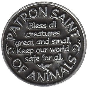 Cathedral Art (Abbey & CA Gift Saint Francis Pocket Token, 1-Inch, Silver
