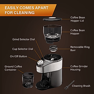 Asani Electric Coffee Grinder, Conical Burr Mill for Mess-Free Use, 35 Settings for Espresso, French Press, Pour Over & Drip Brewing