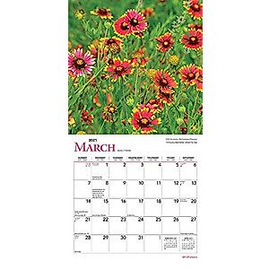 Wildflowers 2021 Calendar