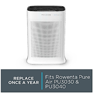 Rowenta Pure Air Mid Size 2-in-1 Active Carbon & Allergy Filter