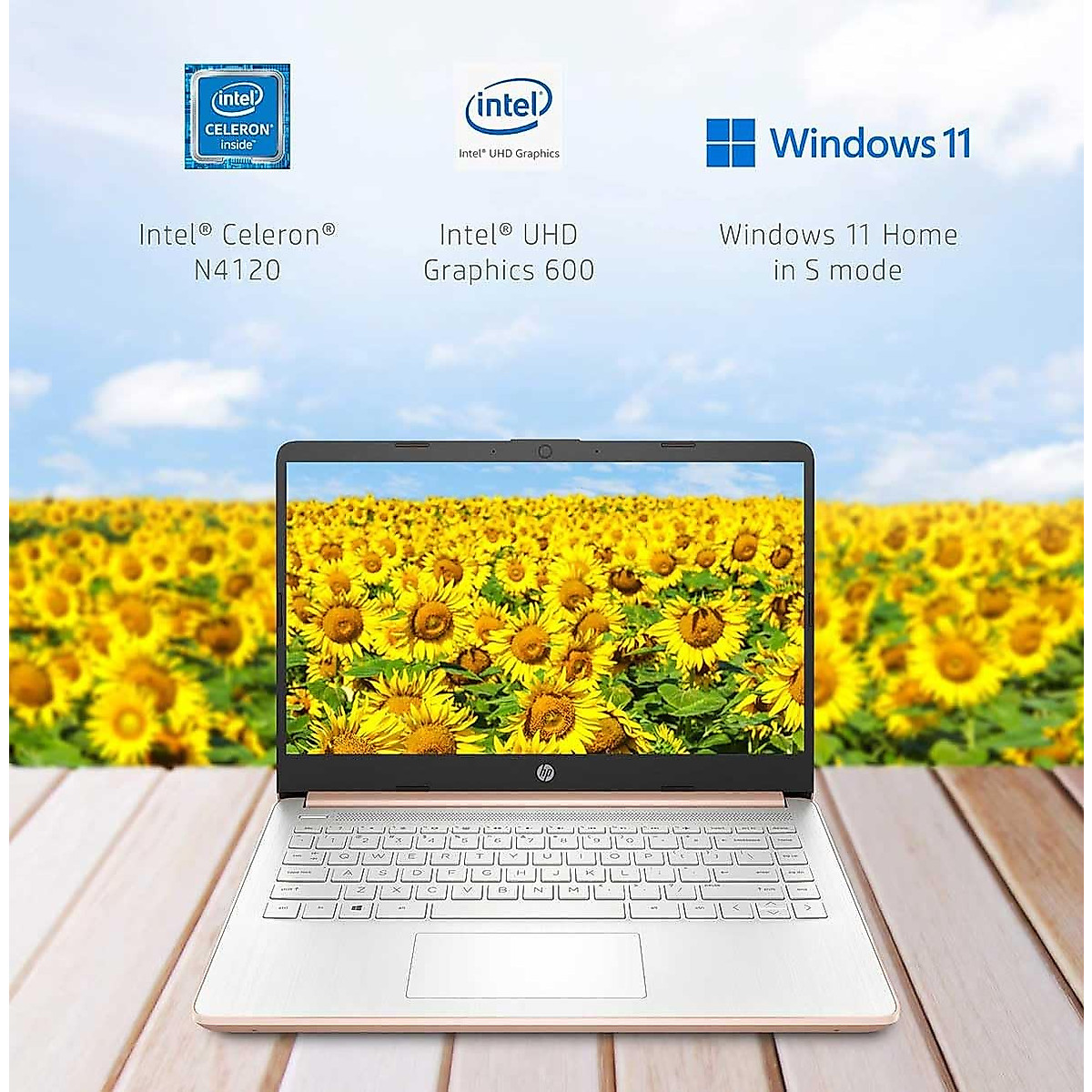 HP Newest 14in Schools and Business Laptop, Intel Quad-Core N4120 CPU, 8GB RAM, 64GB eMMC, 256GB Micro SD, 1-Y Office 365, Webcam, HDMI, WiFi, Win 11 S(Rose Gold), HP 14in