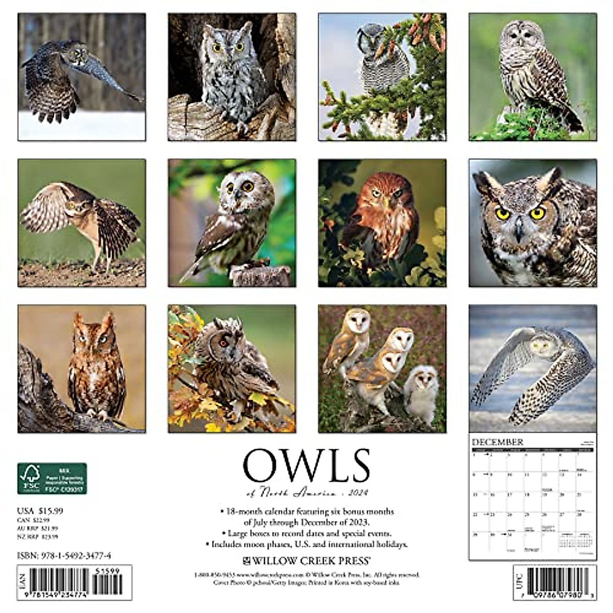 Willow Creek Press Owls Monthly 2024 Wall Calendar (12" x 12")