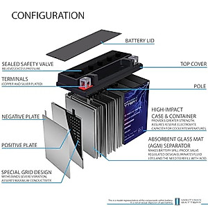 Mighty Max Battery YTX14-BS Replaces Kawasaki KVF KFX 750 Brute Force Prairie VN800 XQ