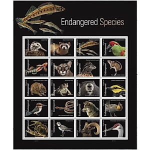 Endangered Species (Sheet of 20) Postage Forever Stamps US Postal First Class Animal Bird Fish Duck Wildlife Habitat Announcement Celebrate Anniversary Wedding 2023 Scott #5800