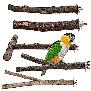 EBaokuup 5PCS Natural Wood Bird Perches for Parrot - Wooden Bird Parrot Stand Branches Parakeet Cage Perch Accessories for Small Birds Budgies Cockatiels Conure Lovebirds