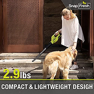 Cordless Leaf Blower - SnapFresh 20V Cordless Leaf Blower with 2.0Ah Li-ion Battery & Fast Charger, 130 MPH 140CFM Electric Leaf Blower Battery Powered Lightweight Sweeper for Sidewalk Hard Surfaces