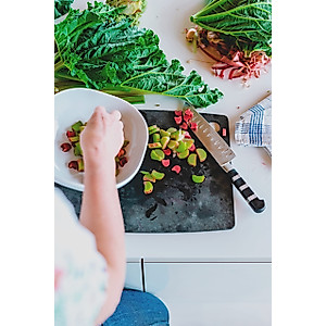 F. DICK – 1905 Santoku - Classic asian kitchen knife with 7.1" blade & 56 HRC - Ideal for meat & vegetables - Ultra sharp - Stainless steel - Ergonomic handle - High carbon