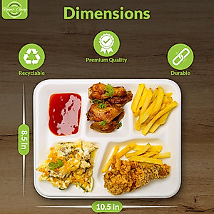 Ryan's Classy Plastic 5 Compartment Plates Disposable, 125 Pack Heavy-Duty Paper Plates with Compartment 10.5 x 8.5 inches Asian Plates Microwave Freezer Safe, Eco-Friendly School Lunch Trays