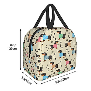 qyopvli Dachshund Lunch Bag For Women Men Insulated Lunch Box Washable Lunch Container Cooler Tote Bag Reusable Lunch Box Lightweight Meal Prep Box For Office Work Picnic Beach