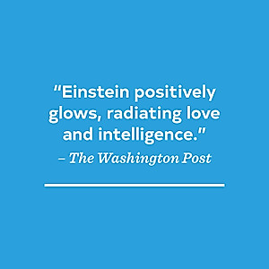 On a Beam of Light: A Story of Albert Einstein (Illustrated Biographies by Chronicle Books)