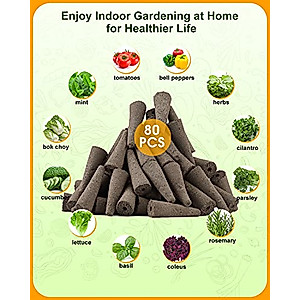 80 PCS Grow Sponges for Hydroponics, Replacement for AeroGarden Seed Pods, Hydroponic Sponges, Root Growth Sponge, Seed Starter Pods for Indoor Gardening System, Pod Refill Peat Sponges (No Seeds)