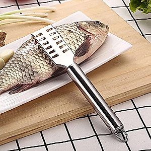 Fish Scaler,Stainless Steel Brush Fish Scaler Remover Easily Remove Fish Scales,Cleaning Brush Scraper Kitchen Tool