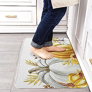 Chees D Zone Indoor Door Mat,Fall Thanksgiving Pumpkin White Soft Non-Slip Absorbent Kitchen Rug,Gold Leaves Sunflower Plant Floor Mat Entrance Rugs for Bedroom Living Room 16x24In