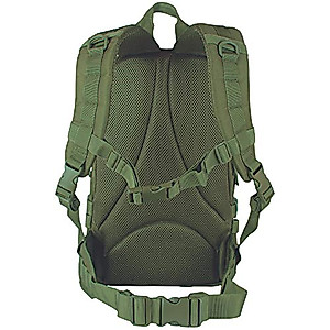 Fox Outdoor Products Cobra Gold Reconnaissance Pack, Olive Drab