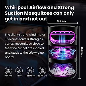 COKIT Indoor Insect Trap, Catch Insect with Suction, Bug Light and Sticky Glue, Catcher & Killer for Mosquito, Gnat, Moth, Fruit Flies, Non-Zapper Traps for Home with Adapter, Glossy Black