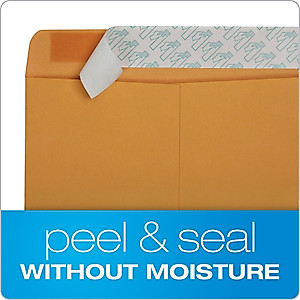 Quality Park 9" x 12" Self-Seal Catalog Envelopes, for Mailing, Organizing and Storage, Brown Kraft, Heavy 28-lb Paper, 100 Per Box (QUA44562)