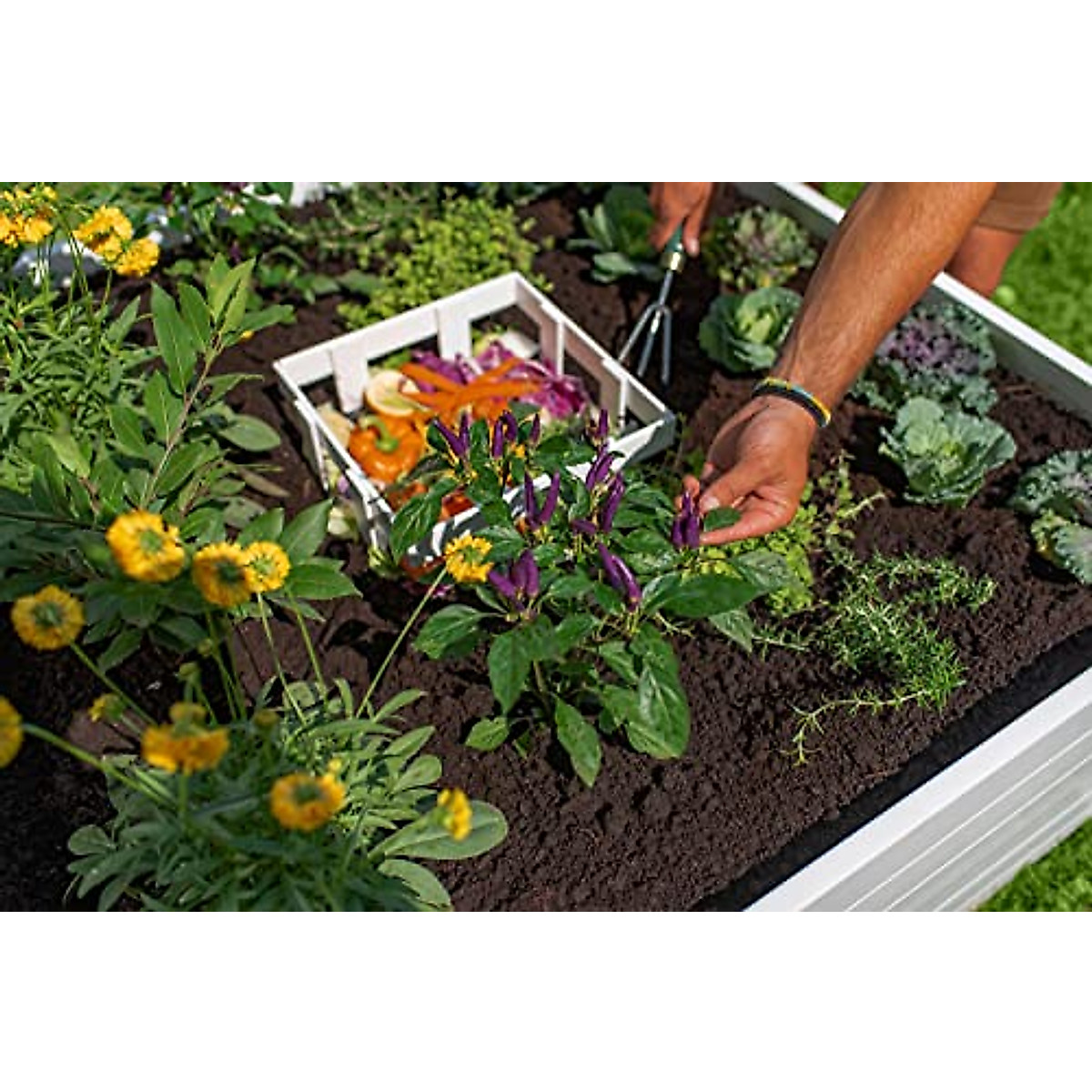 Vita Classic 4 Foot x 4 Foot x 22 inch Keyhole Garden Bed with Composting Basket, White, PVC, BPA and Pthalate Free, VT17101