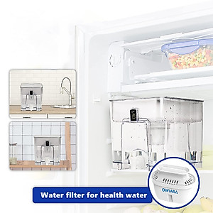 OWIARA Standard Water Filter, Standard Replacement Filters for Pitchers and Dispensers, BPA Free, 1 Count