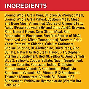 PEDIGREE Puppy Growth & Protection Dry Dog Food Grilled Steak & Vegetable Flavor, 3.5 lb. Bag