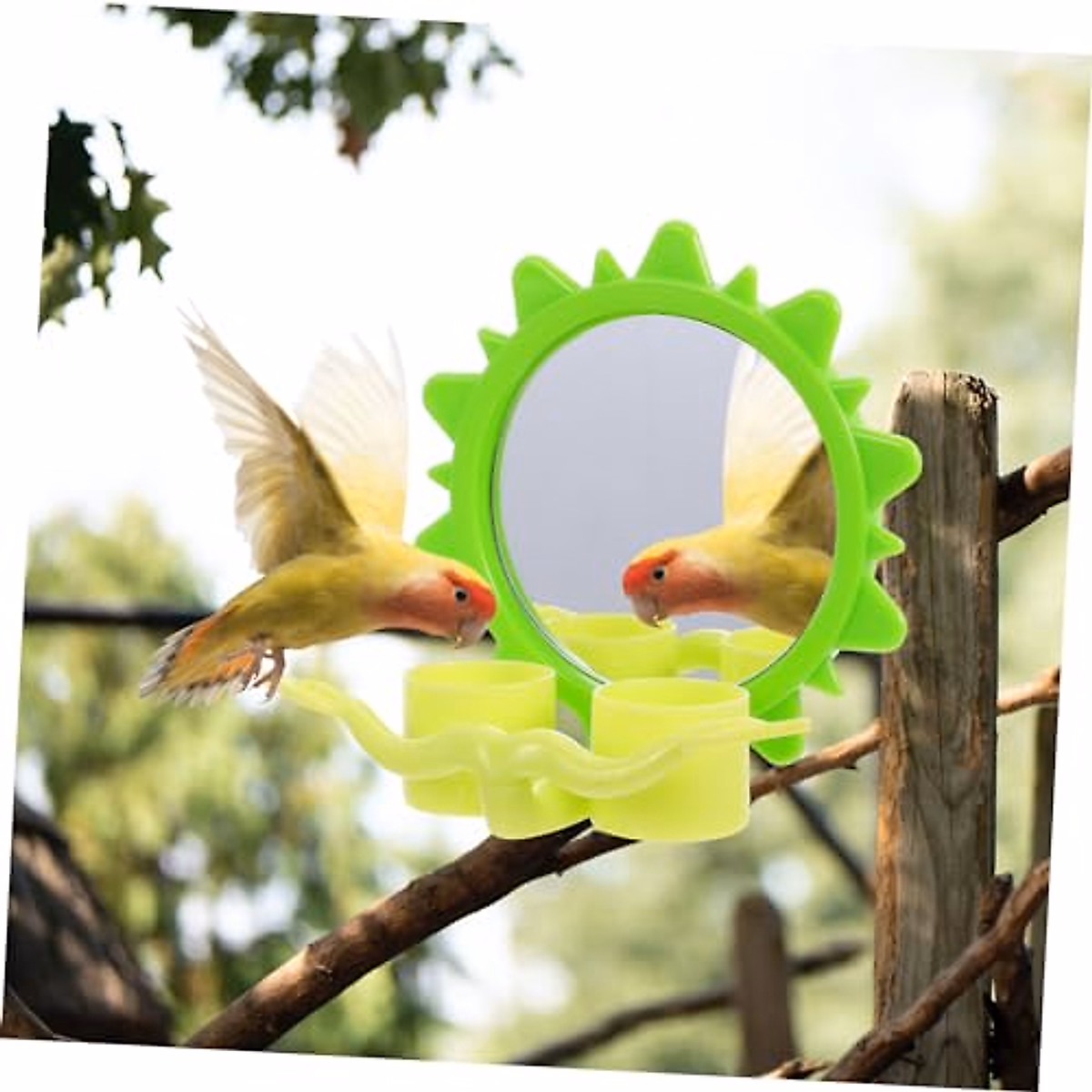 BESPORTBLE Parrot Food Box Food Toy Hanging Food Container Pet Birds Supplies Bird Mirror for Cage Hanging Parrots Feeder Pet Food Containers Birds Feeder Brain Toy Pet Toys Green Plastic