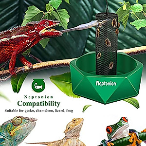 NEPTONION Hookable Chameleon Feeding Bowl, Professional Live Worm Organizer with Column for Prey to Climb and Move, Suitable for Lizard, Bearded Dragon, Iguana, Gecko, Toad, Frog