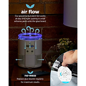 Katchy Indoor Fly Trap - Catcher & Killer for Mosquito, Gnat, Moth, Fruit Flies - Non-Zapper Traps for Buzz-Free Home (8-Pack Glue Boards for Duo Model, White)