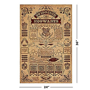 Harry Potter - Movie Poster/Print (Quidditch at Hogwarts) (Size: 24 inches x 36 inches)