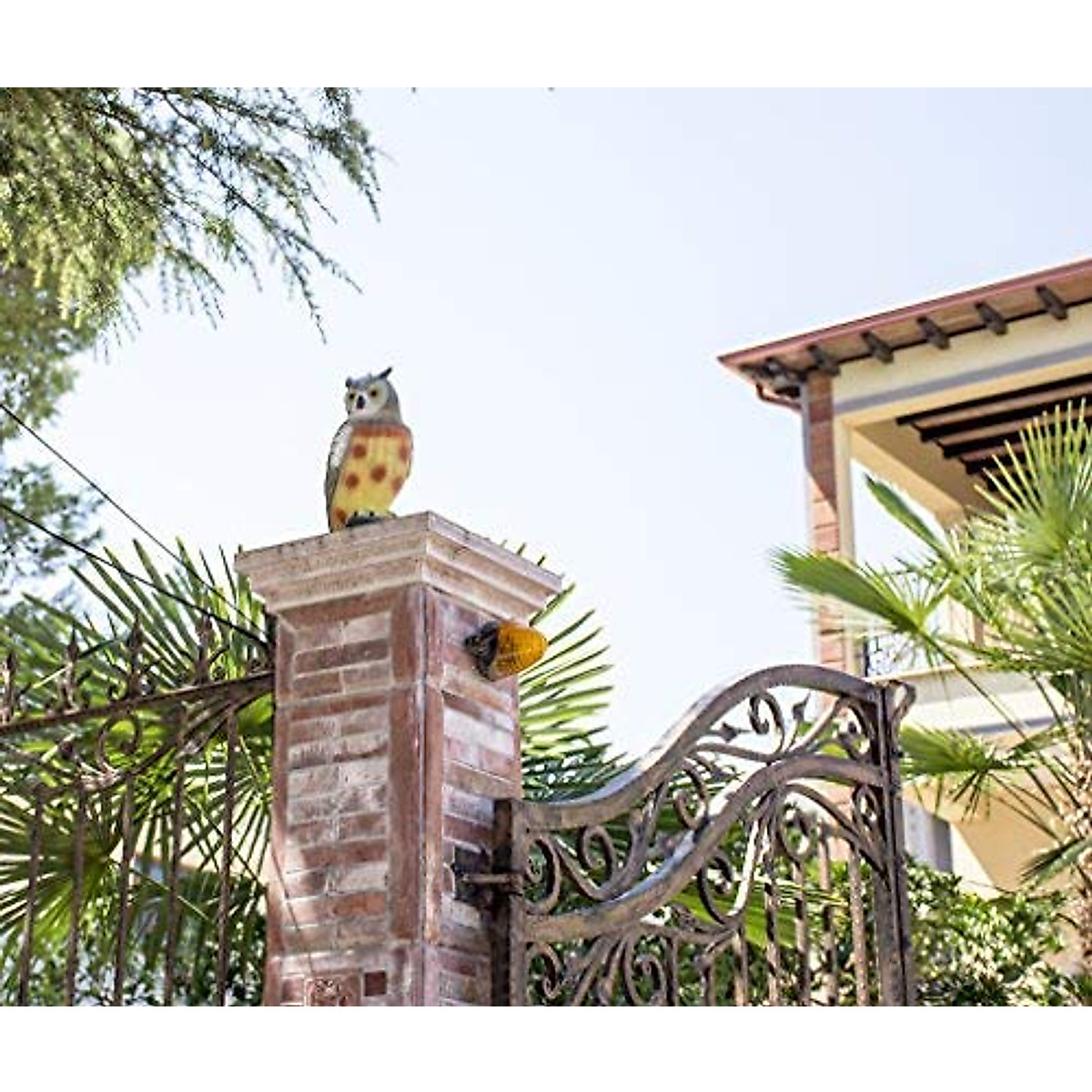 Large Scarecrow Owl Decoy Statue by briteNway – Realistic Fake Owl Outdoor Pest & Bird Deterrent, Hand-Painted Garden Protector, Scares Away Squirrels, Pigeons, Rabbits & More – 16,5” Hollow Design