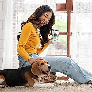 Dachshund Gifts for Women, Best Weiner Dog Stuff, Weiner Dog Gifts for Women, Weiner Dog Gifts for Dog Lovers, Dachshund Christmas Decor, Dachshund Coffee Mug Weiners Stainless Steel Tumbler 20 Oz