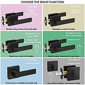 TICONN Door Handle Heavy Duty, Reversible Square Door Lever for Bedroom, Bathroom and Rooms (Black, Dummy - Rear Mount)