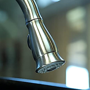 DANCO Smart Spray Kitchen Sink Faucet Pull Down Faucet Spray Head, Stainless Steel, 1-Pack (10724)