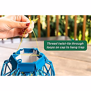 RESCUE! Deck & Patio Fly TrapStik - Odorless, Weather Resistant - 3 Pack