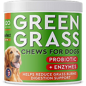 PAWFECTCHEW Green Lawn Chews for Dogs - Green Grass Chews - Urine Neutralizer Grass Burn Spots - Lawn Burn from Dog Urine - Probiotics & Enzymes - Made in USA - Bacon Flavor - 120 Lawn Saver Chews