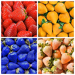 400+ Mix Strawberry Seeds for Planting - Heirloom Non-GMO Red Yellow Blue White Climbing Strawberry - Everbearing Fruit Plant Home Garden Sweet and Delicious